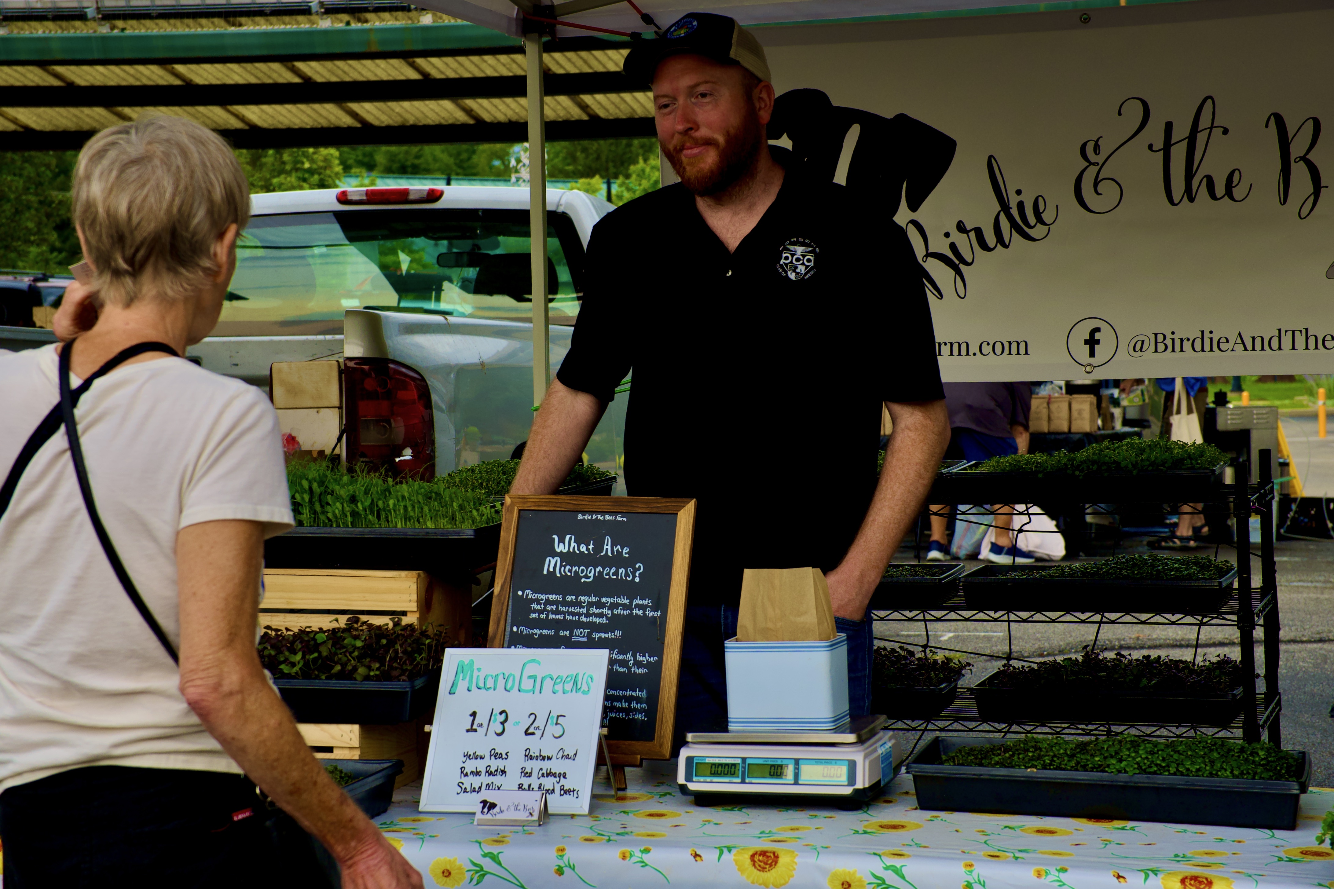 About Us – Birdie & The Bees Farm